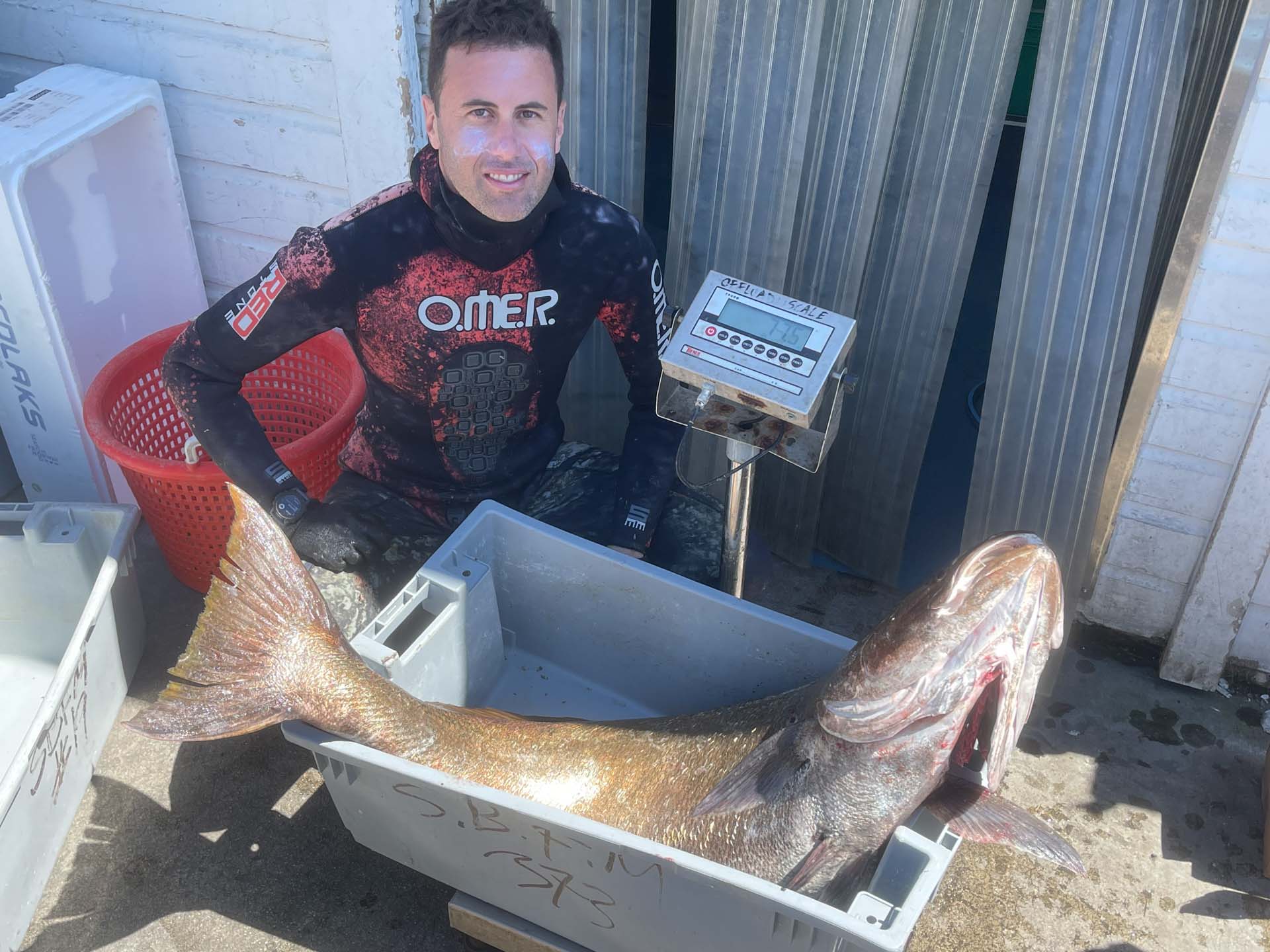 Club Records - Santa Barbara FreeDivers