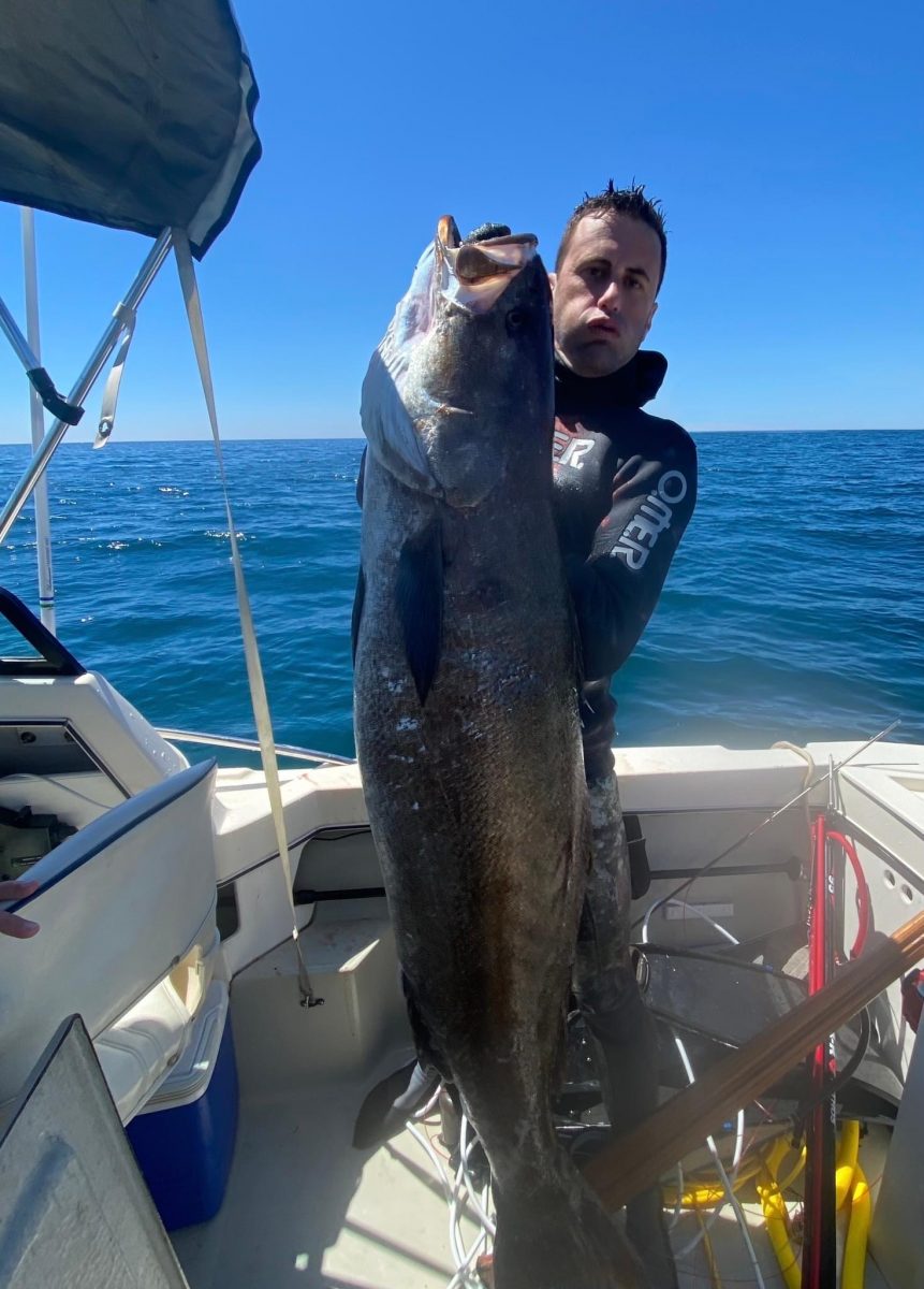 Club Records - Santa Barbara FreeDivers