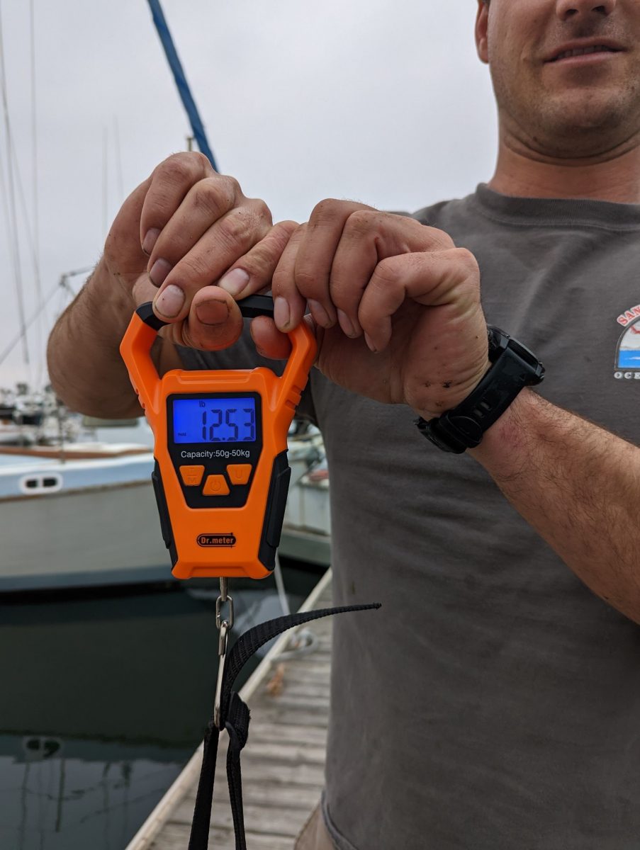 Club Records - Santa Barbara FreeDivers